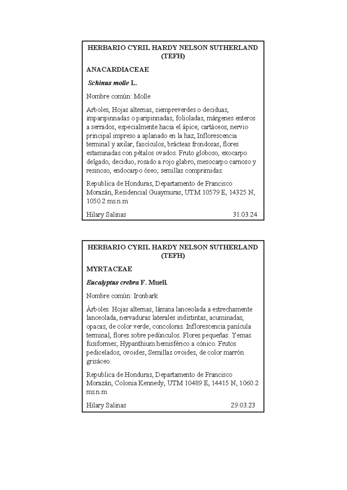 Fichas Informativas de Plantas (TEFH) - Herbarium Study Notes 2024 ...