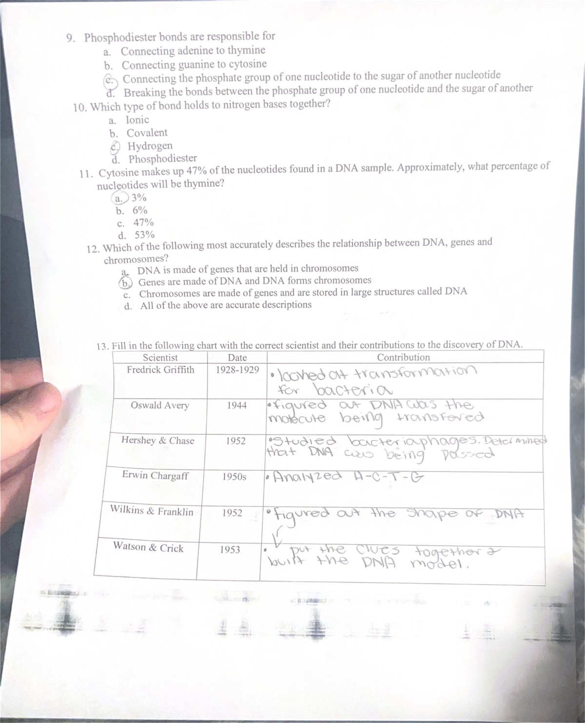 Comprehensive Study Notes for [Course Code] DNA Structure and Bonds ...
