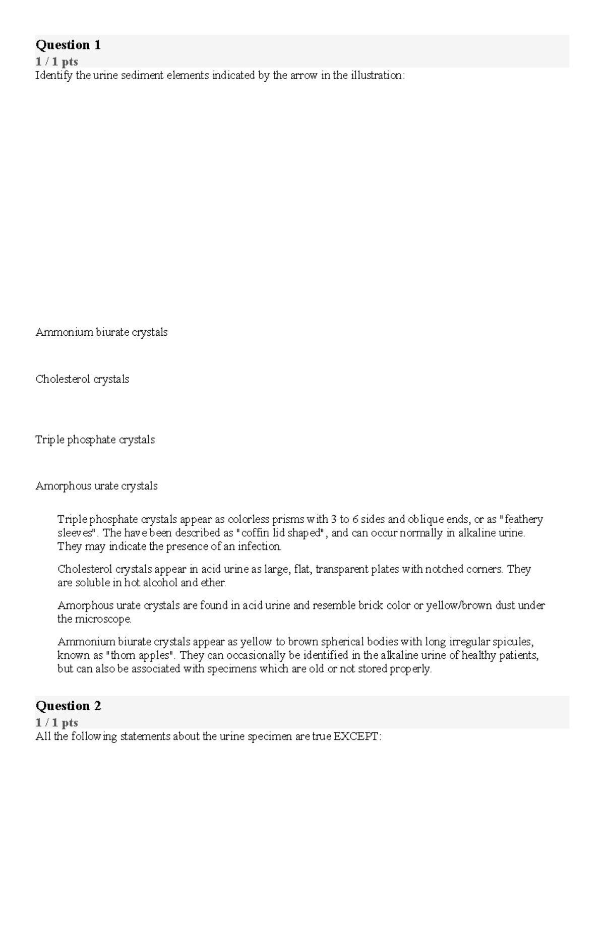 Quiz AUB 25 Question - AUB - Question 1 1 / 1 pts Identify the urine ...