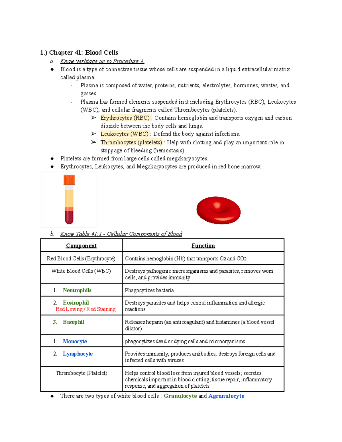 Quiz 1 Study Guide: Blood Cells, Typing & Heart Structure (BIO 101 ...