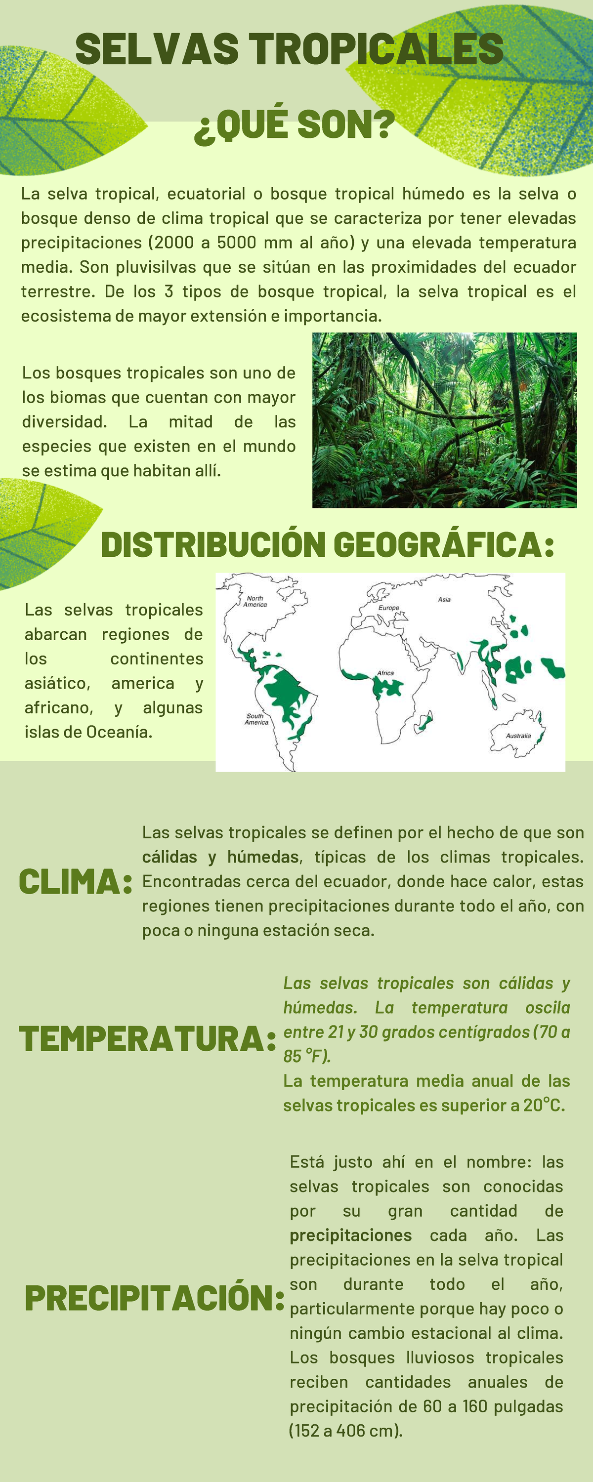 Mapa De La Selva Tropical De áfrica