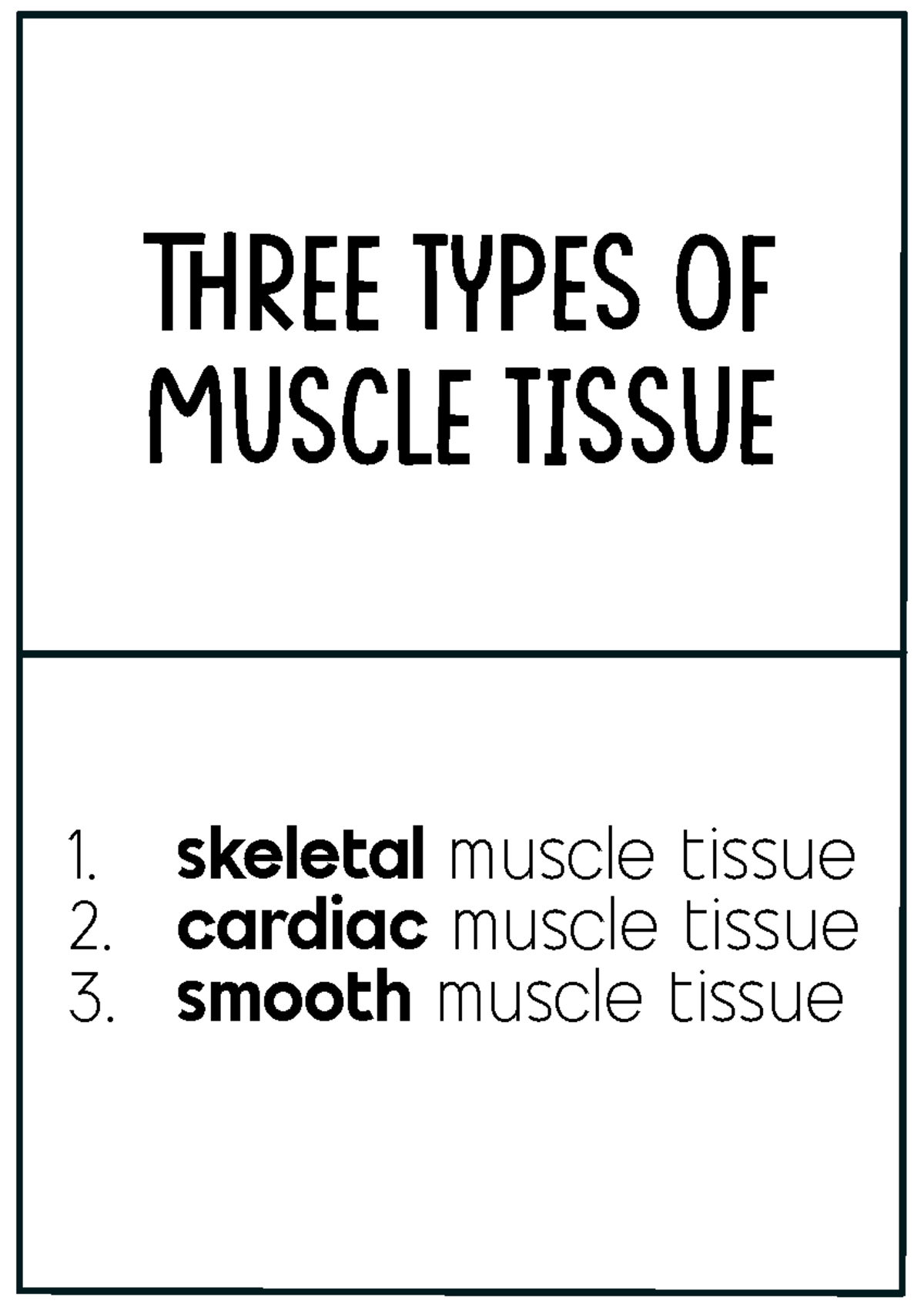 Unit 11: Muscle Tissue Overview and Skeletal Structure (2113) - Studocu