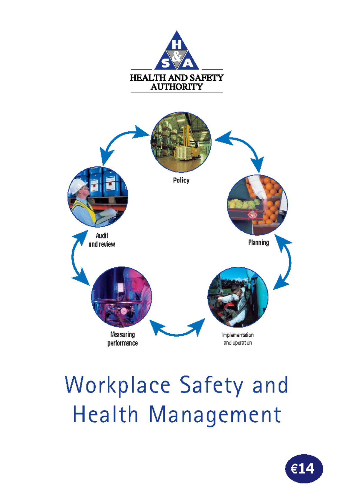 Workplace Safety and Health Management: Practical Guidelines for ...