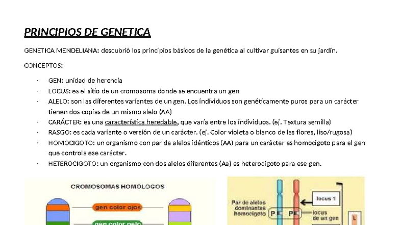 PRINCIPIOS DE GENÉTICA MENDELIANA: Conceptos Clave y Herencia - Studocu