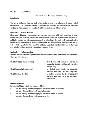 Parapodia and Epitokes - BI108 NOTES Parapodia in marine bristle worms ...