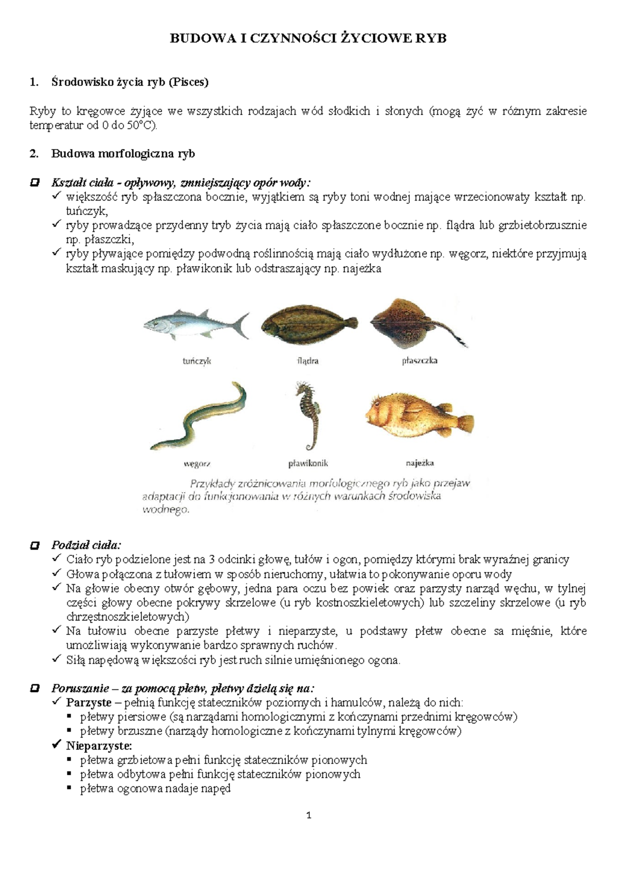 Budowa I CzynnoŚCI Ż Yciowe RYB 1 - BUDOWA I CZYNNOŚCI ŻYCIOWE RYB 1 ...