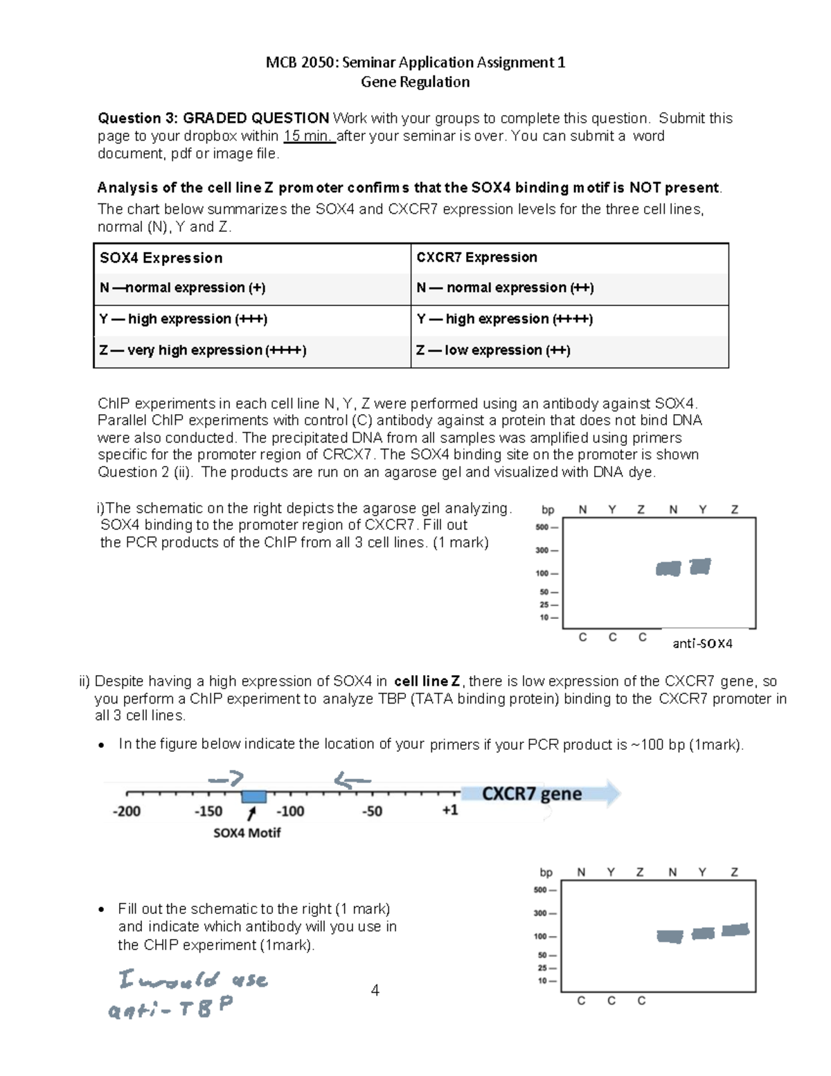 MCB 2050: Seminar 1 Gene Regulation Analysis and ChIP Experiments - Studocu