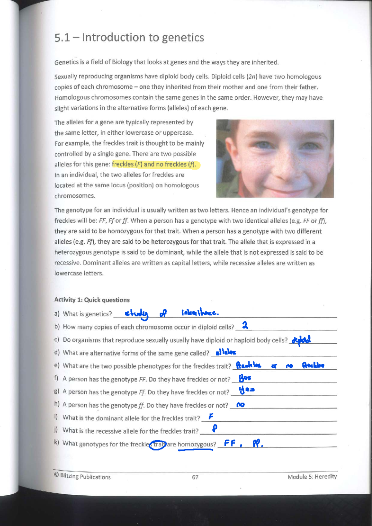 Module 5: Heredity - Introduction to Genetics and Alleles - Studocu