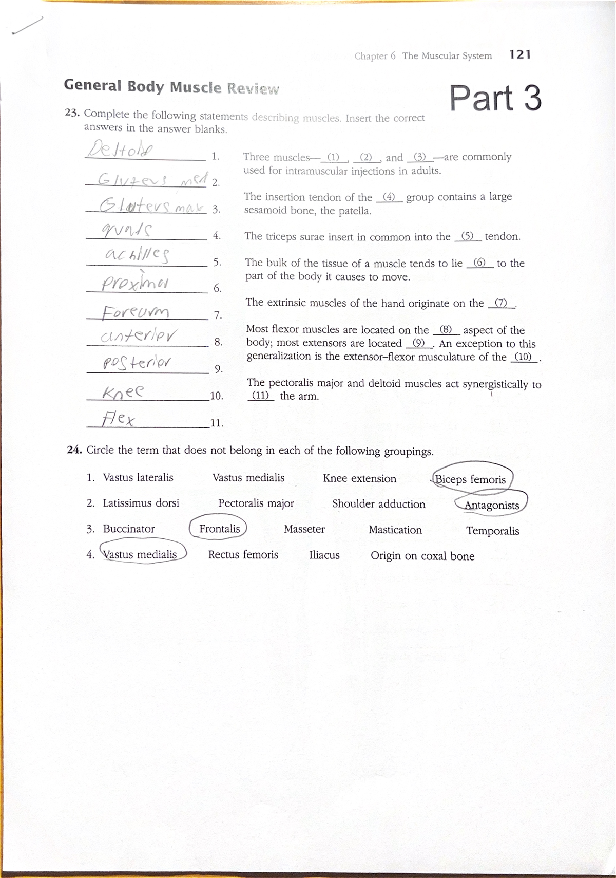 Scanned Document 5 - Yes - Chapter 6 The Muscular System 121 General ...