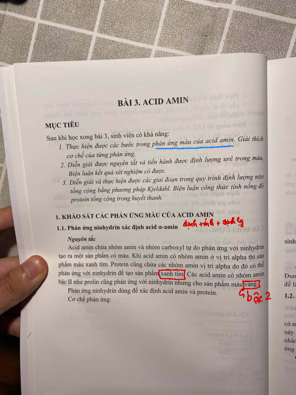 Acid Amin Overview and Key Concepts - Studocu