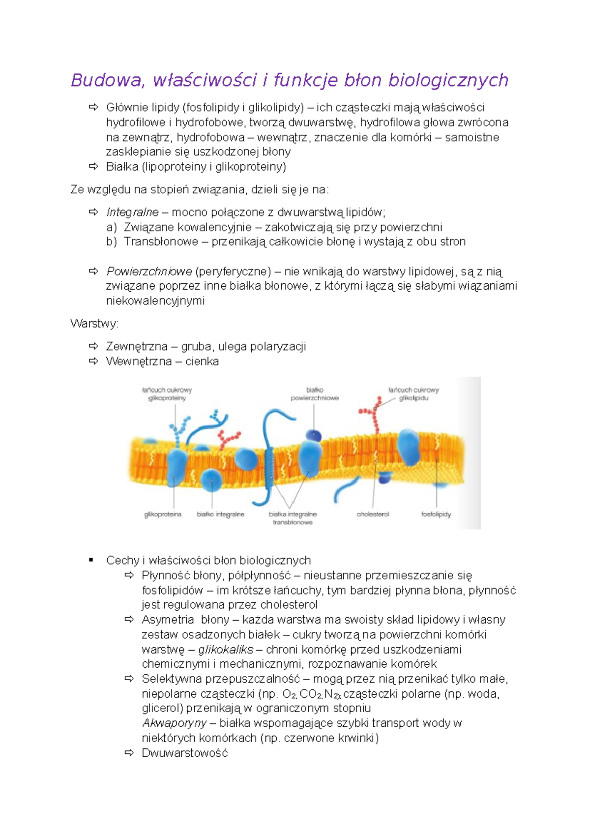 Budowa i Funkcje Błon Biologicznych: Właściwości i Transport Cząsteczek - Studocu