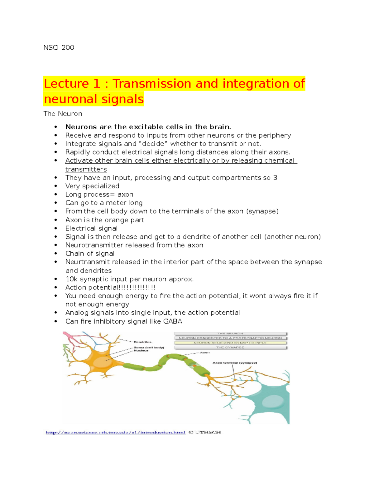 NSCI 200 Lecture 1: Neuronal Signal Transmission and Integration - Studocu