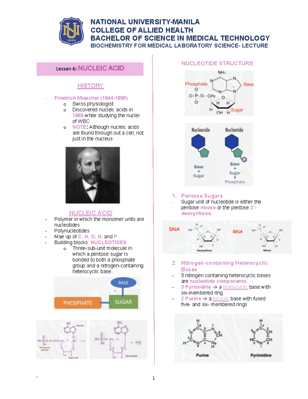 BSMT 101: Biochemistry Lecture - Lesson 6: Nucleic Acid Structure - Studocu