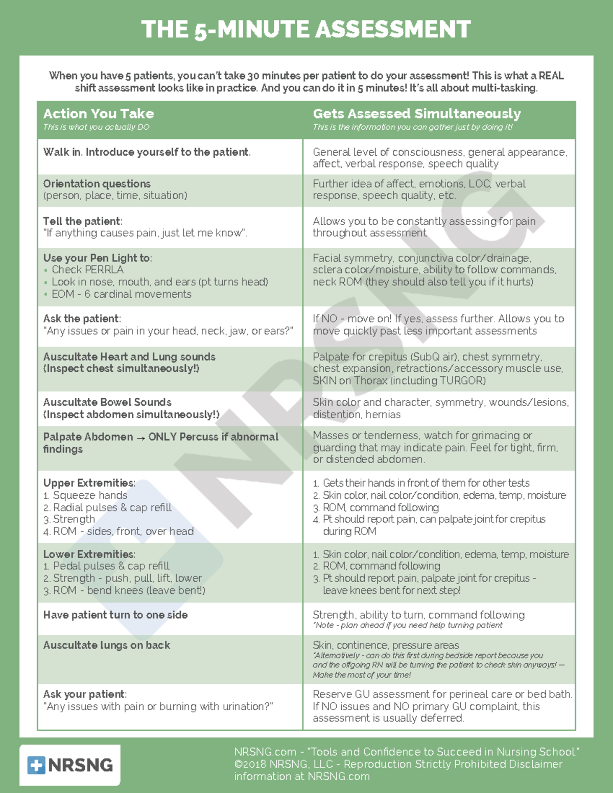 5-Minute Patient Assessment: Quick Guide for Efficient Care - Studocu