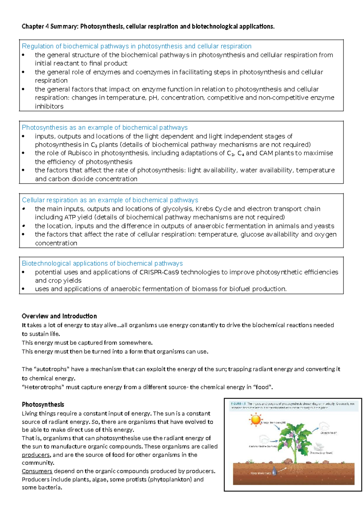 Biology U3: Chapter 4 Summary - Photosynthesis & Cellular Respiration ...