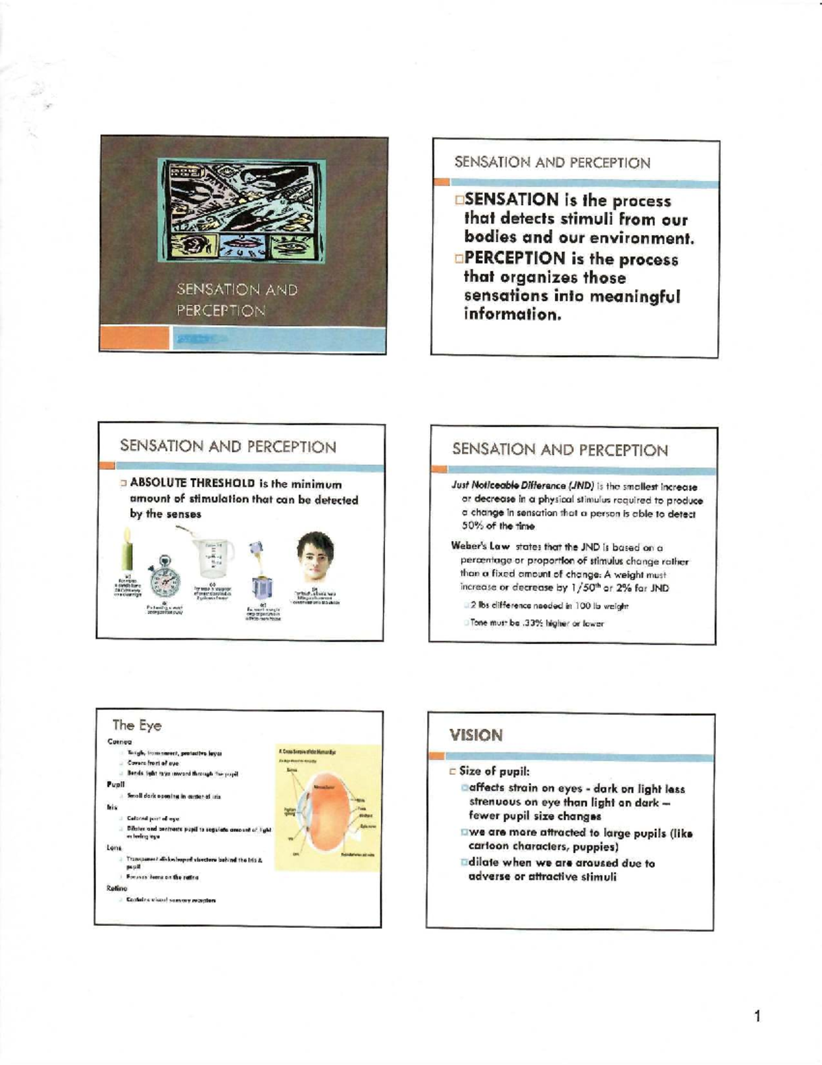 Sensation and Perception Lecture Notes - Studocu