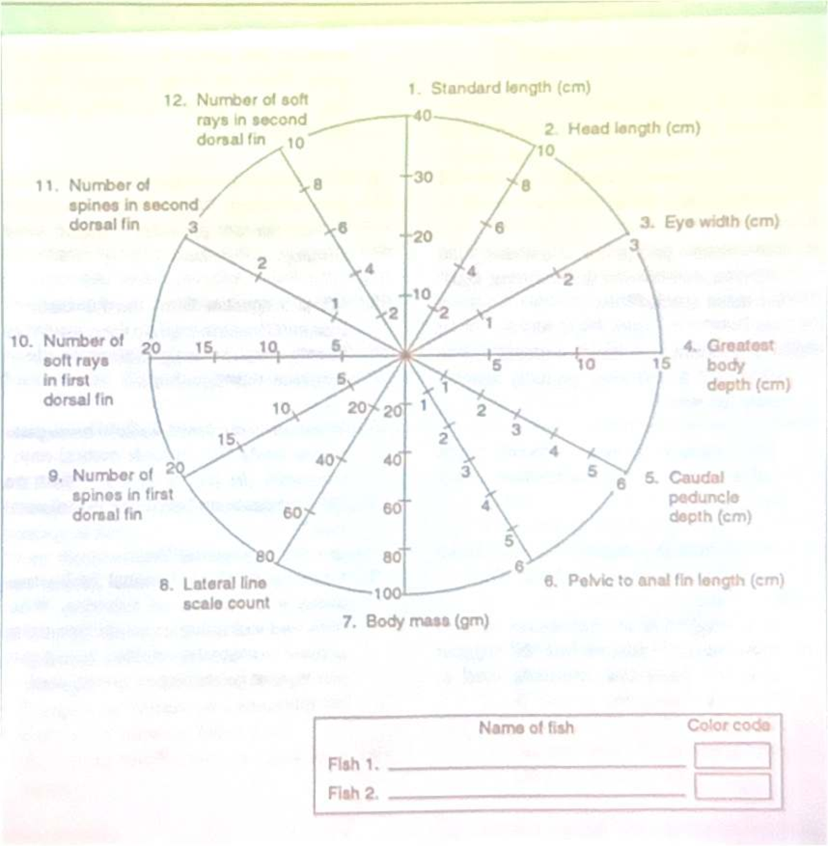 Fish Morphology Measurements and Data Analysis - Studocu