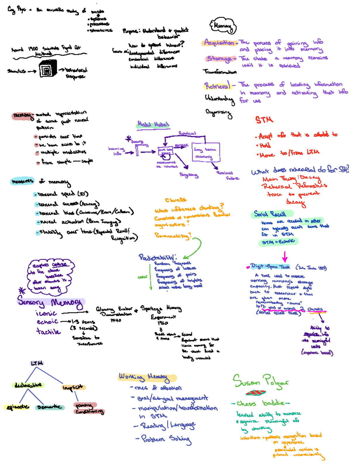 Cognitive Psychology (Psyc) Overview: Memory Processes & Models - Studocu