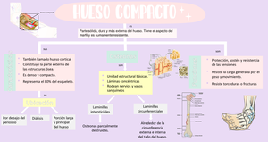 Linea mamaria, proyecciones de mastografía - PROYECCIONES DE ...