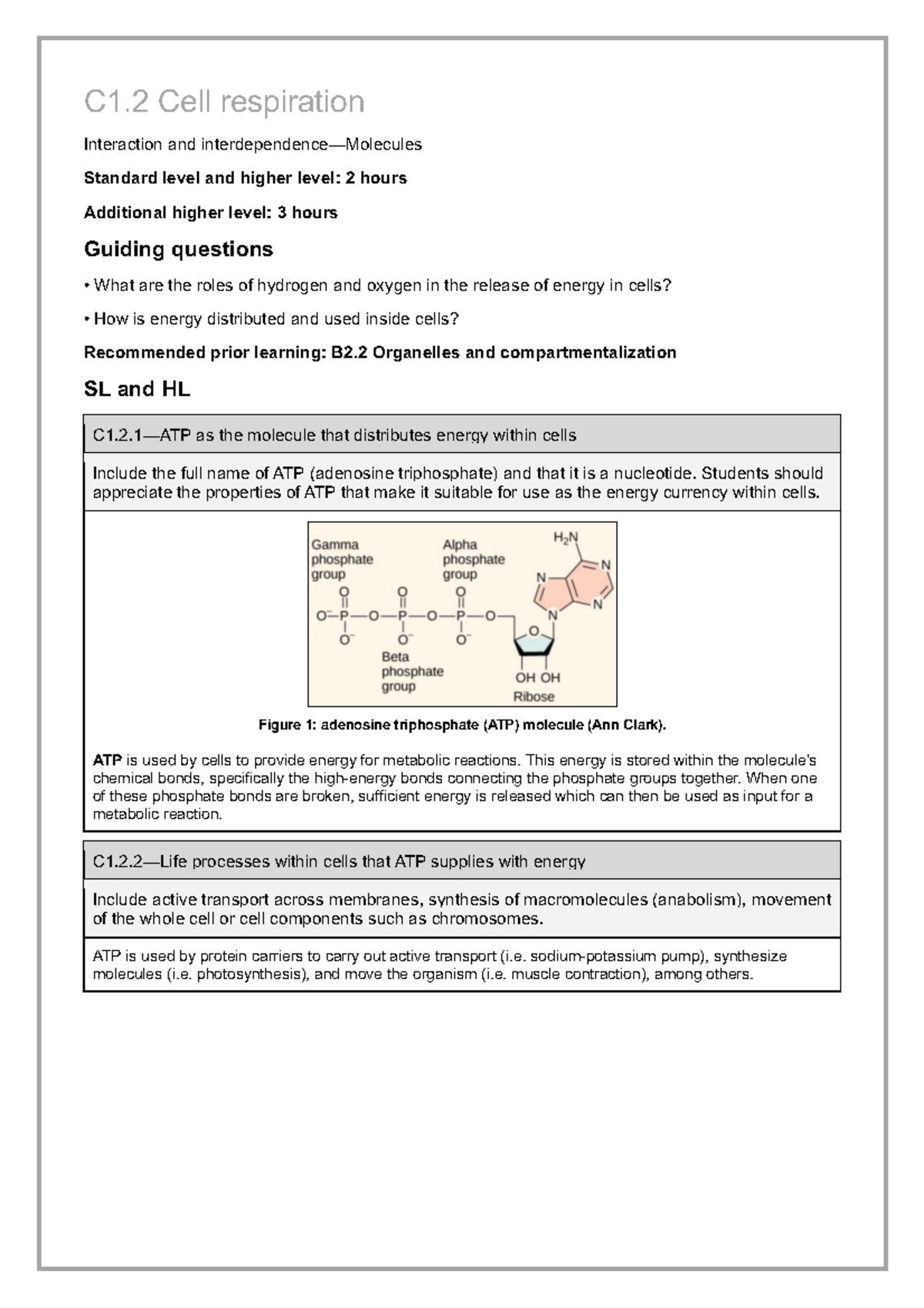 Cell Respiration: Comprehensive HL Notes for IB Biology (C1.2) - Studocu