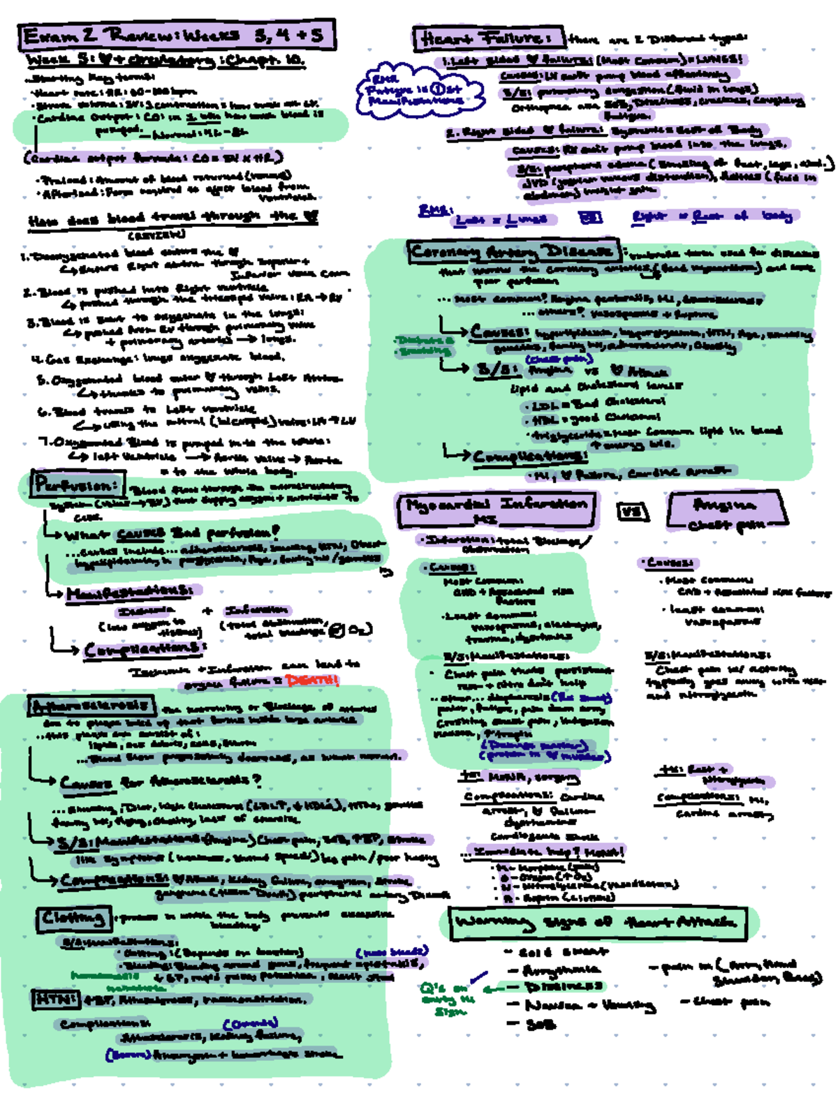 Exam 2 Review: Heart Failure & Fluid Imbalances Notes - Studocu