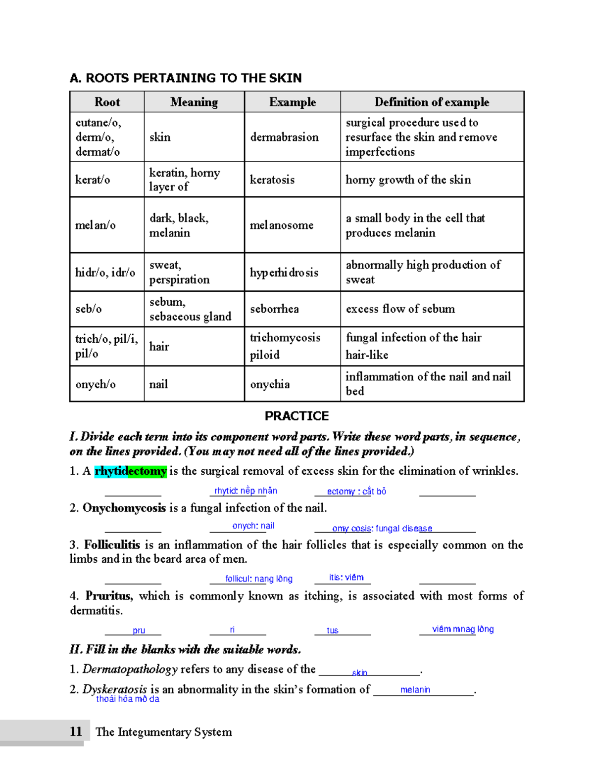 [Medical Terminology 2] - 11 The Integumentary System A. ROOTS ...