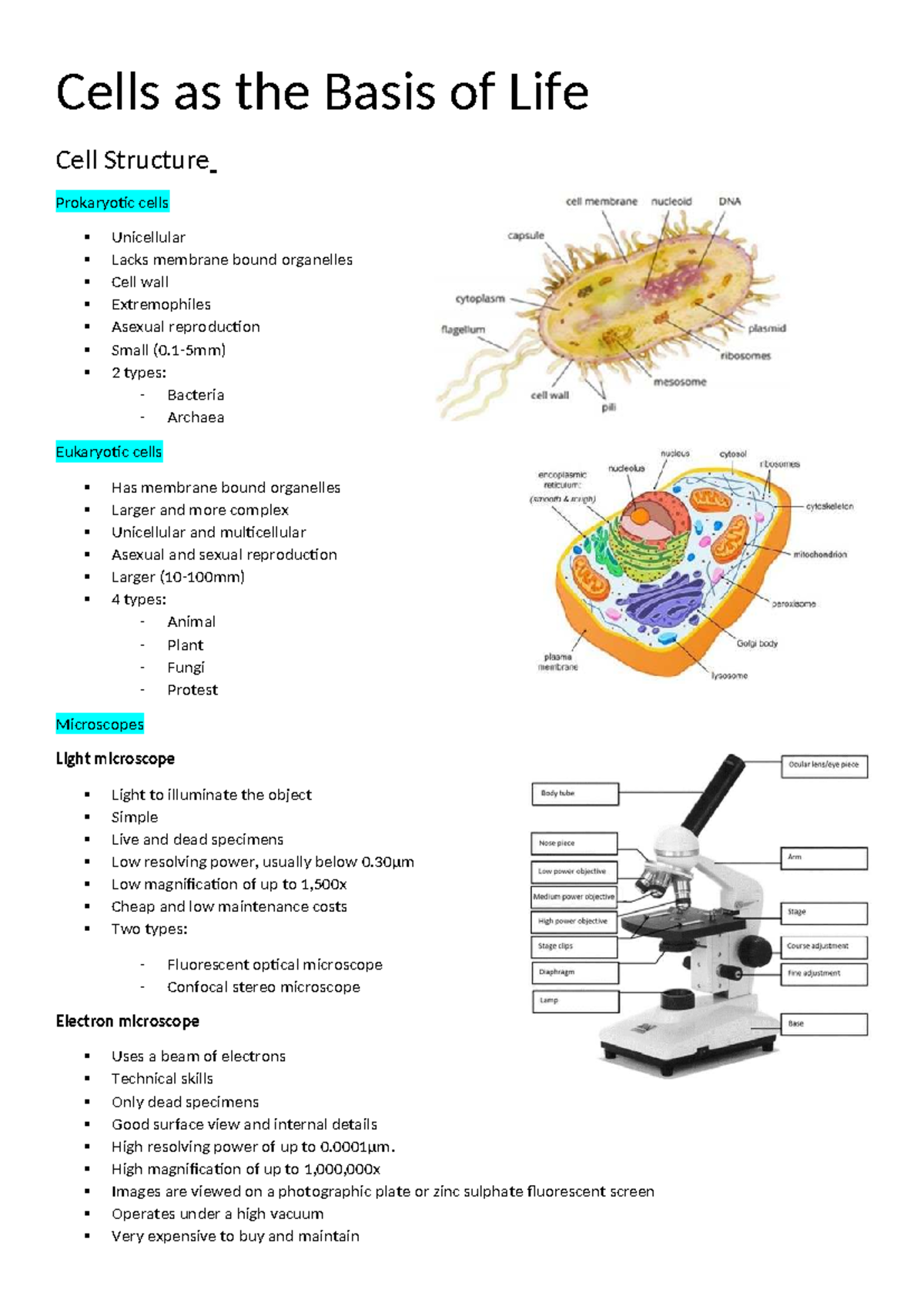 Cells as the Basis of Life: Study Notes for BIO101 - Studocu