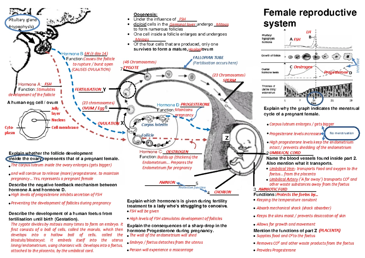 Essay-4 Gorbachev Russia 2023 - GREY COLLEGE SECONDARY GRADE 12 HISTORY ...