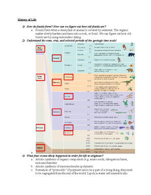 Chapter 28 Practice Questions - 1. Describe in detail the steps ...