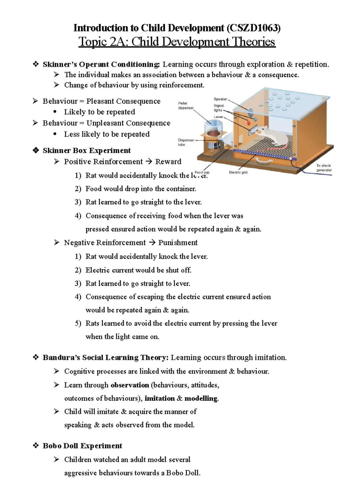 Topic 2A - Child Development Theories - Introduction to Child ...