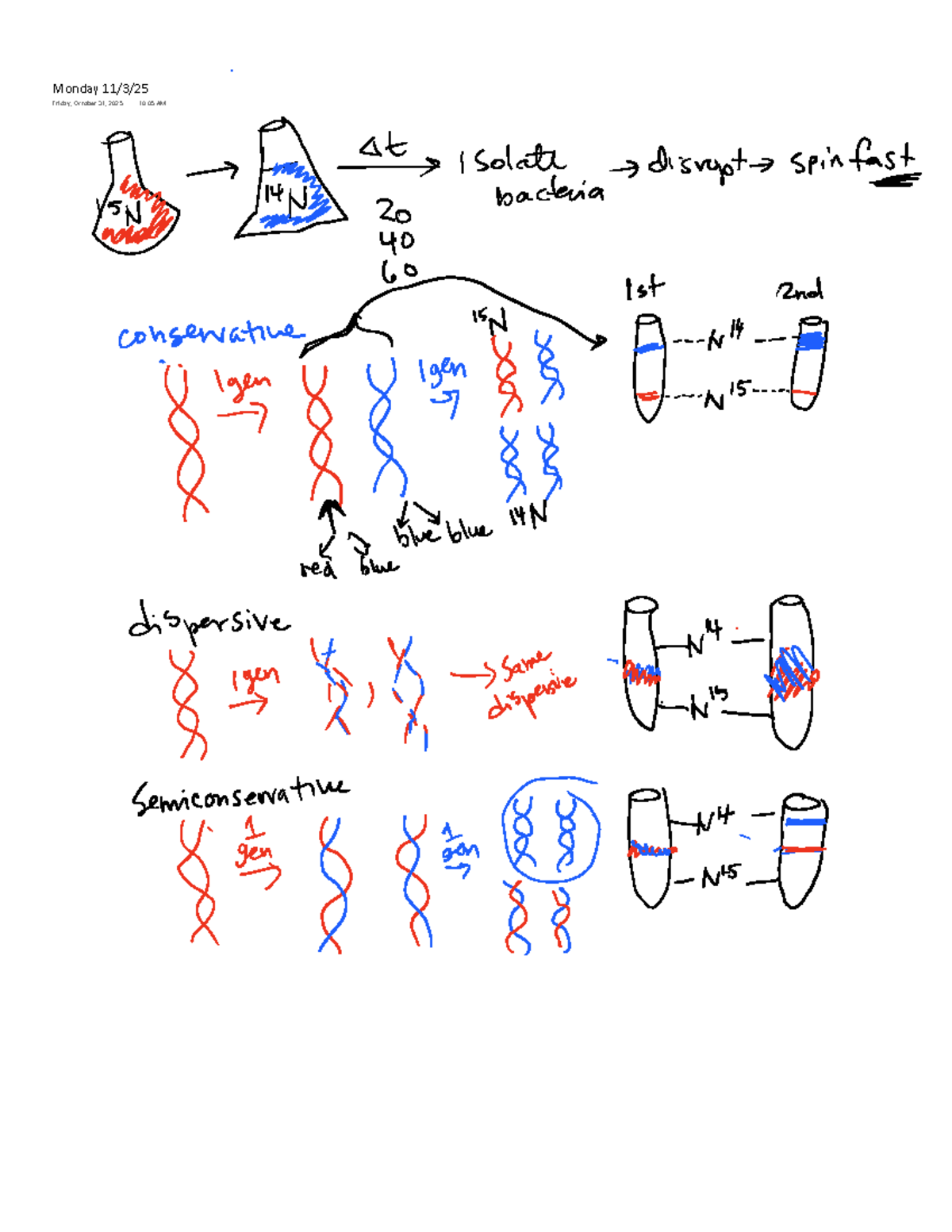 Monday 110325 notes - BIOL 200 - Monday Friday, October 31, 2025 10:05 ...