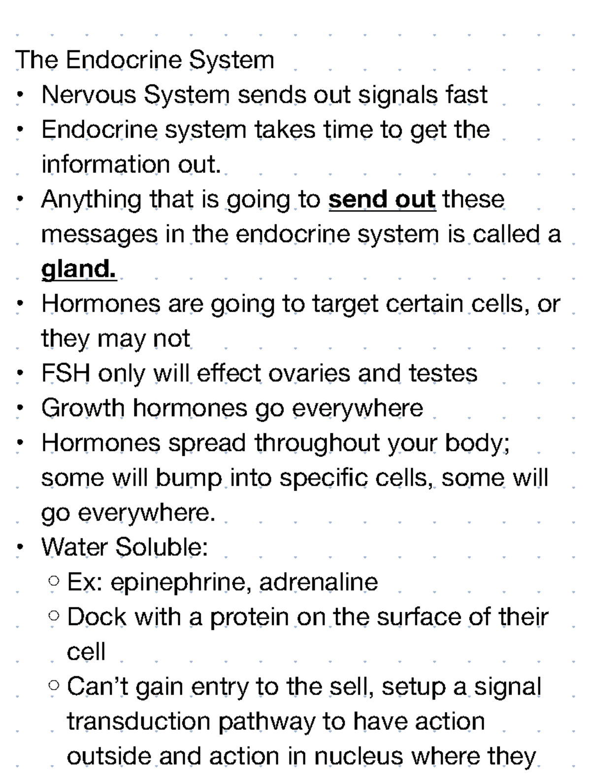 Endocrine System: Ed Puzzle Notes for Biology 101 - Studocu