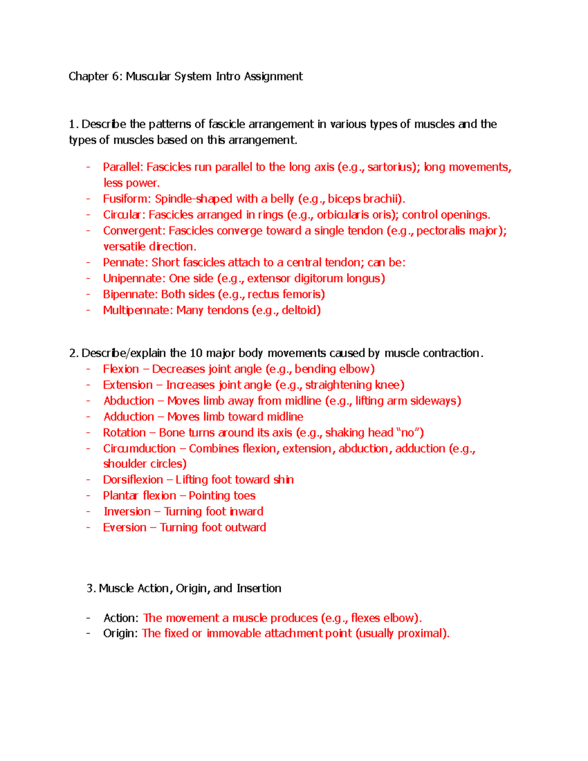 Copy of muscular system intro assignment - Chapter 6: Muscular System ...