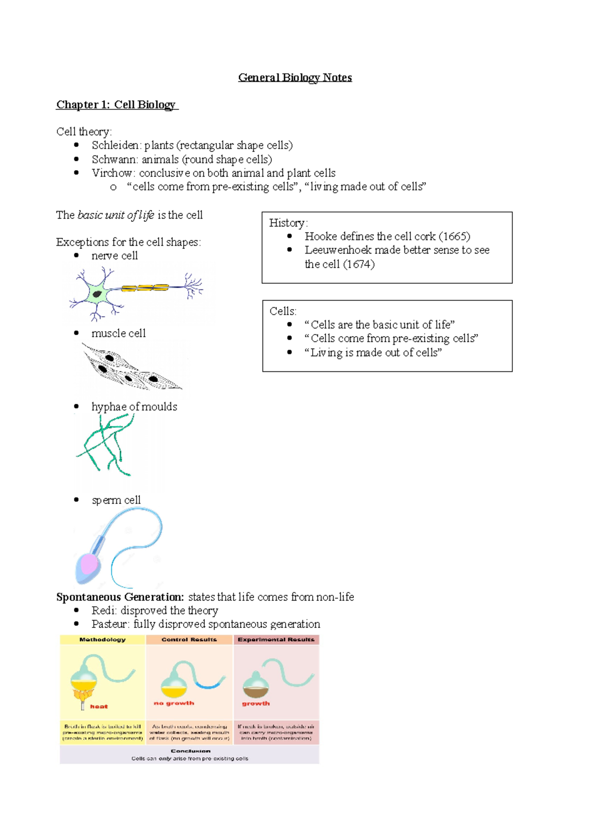 General Biology Notes: Cell & Molecular Biology Overview (BIO 101 ...