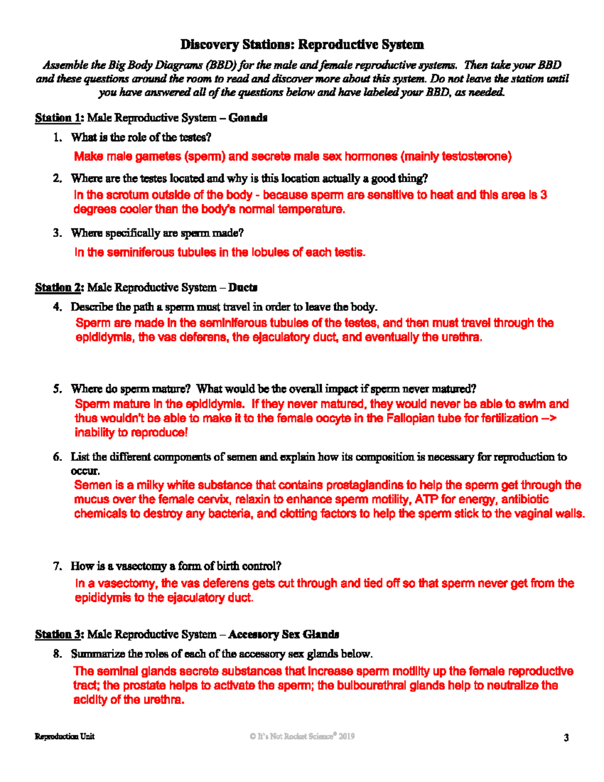 Reproduction Discovery Stations: An Exploration of Reproductive Systems ...