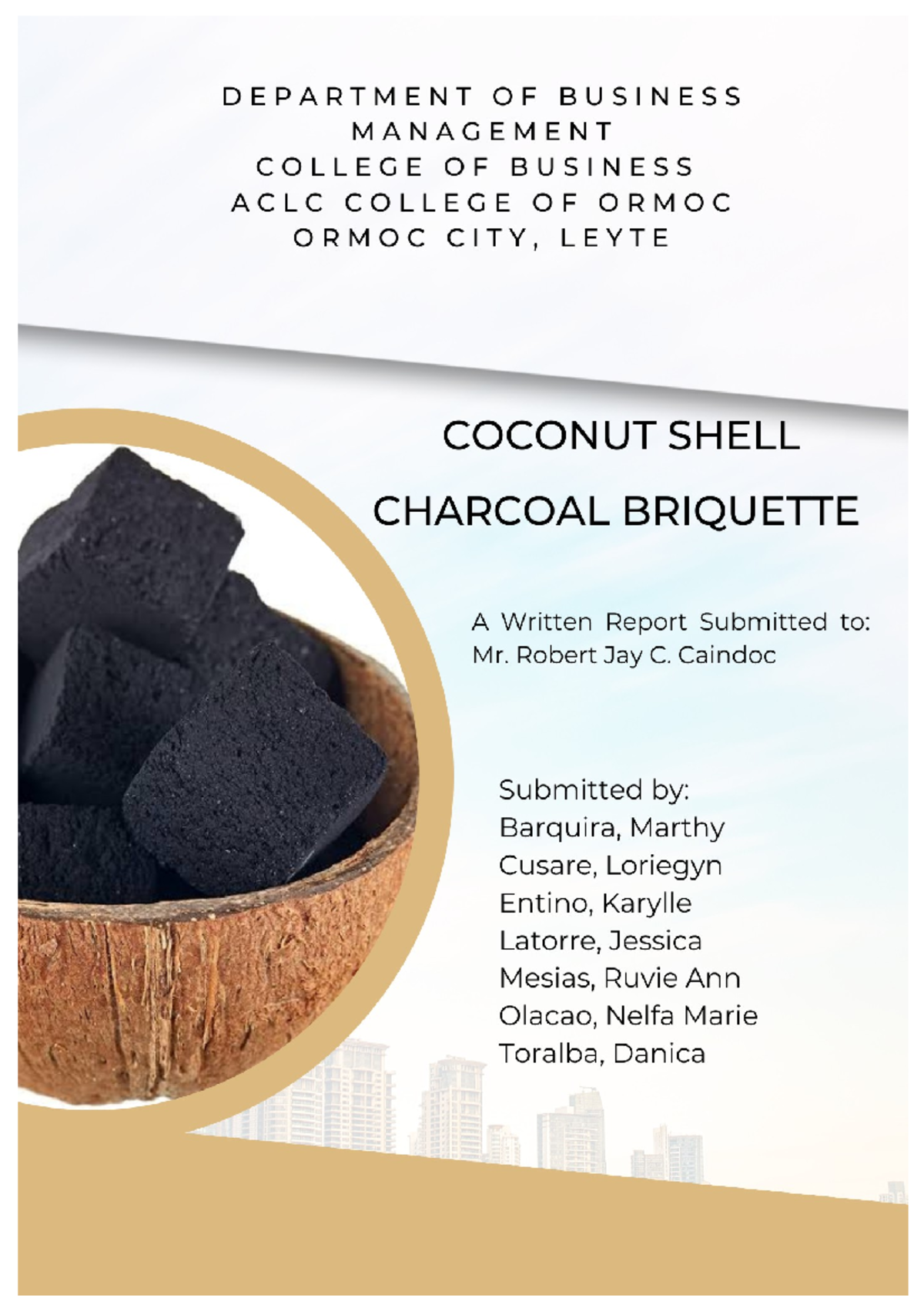 Final Business Plan: Coconut Shell Charcoal Briquette Project - Studocu