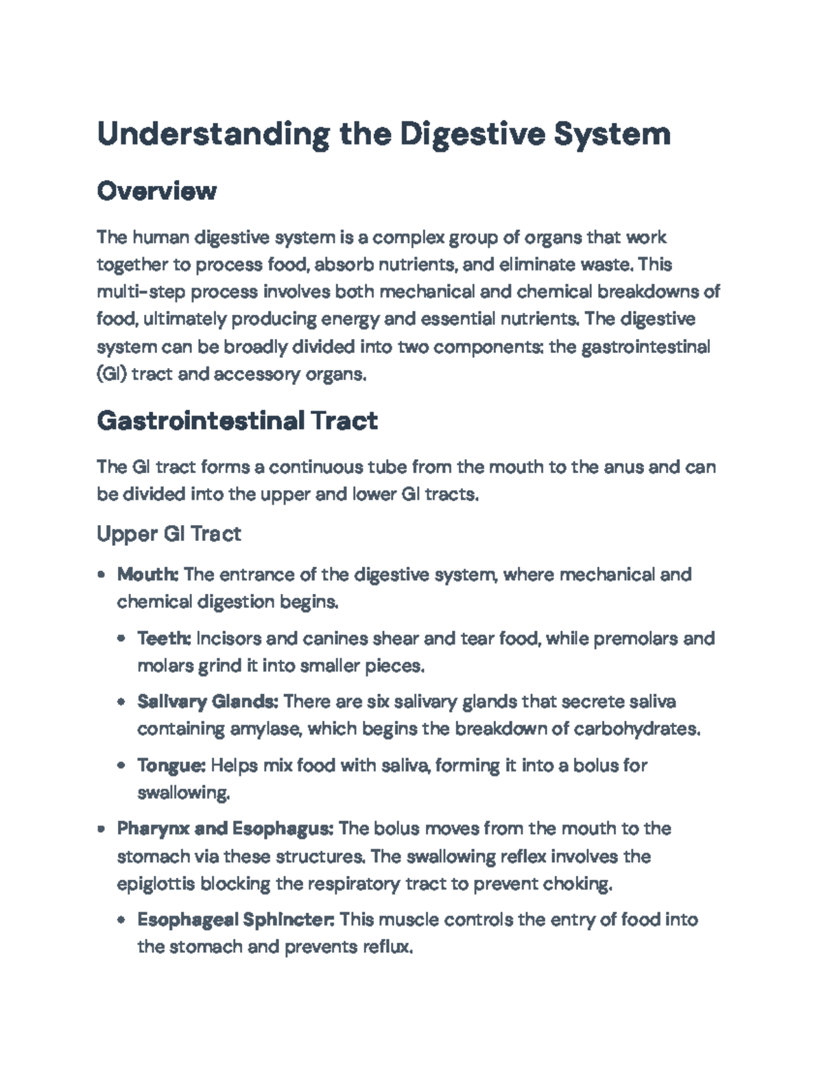 Understanding the Human Digestive System: Structure and Function ...