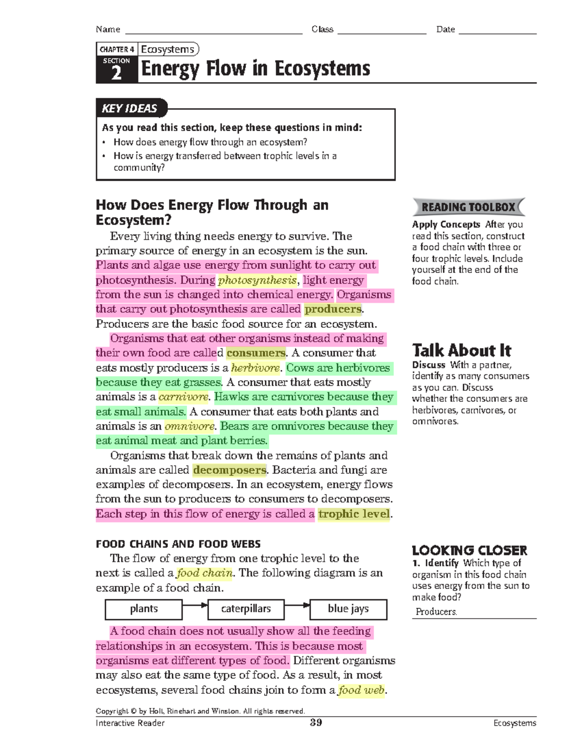 Energy Flow in Ecosystems: Understanding Trophic Levels and Energy ...