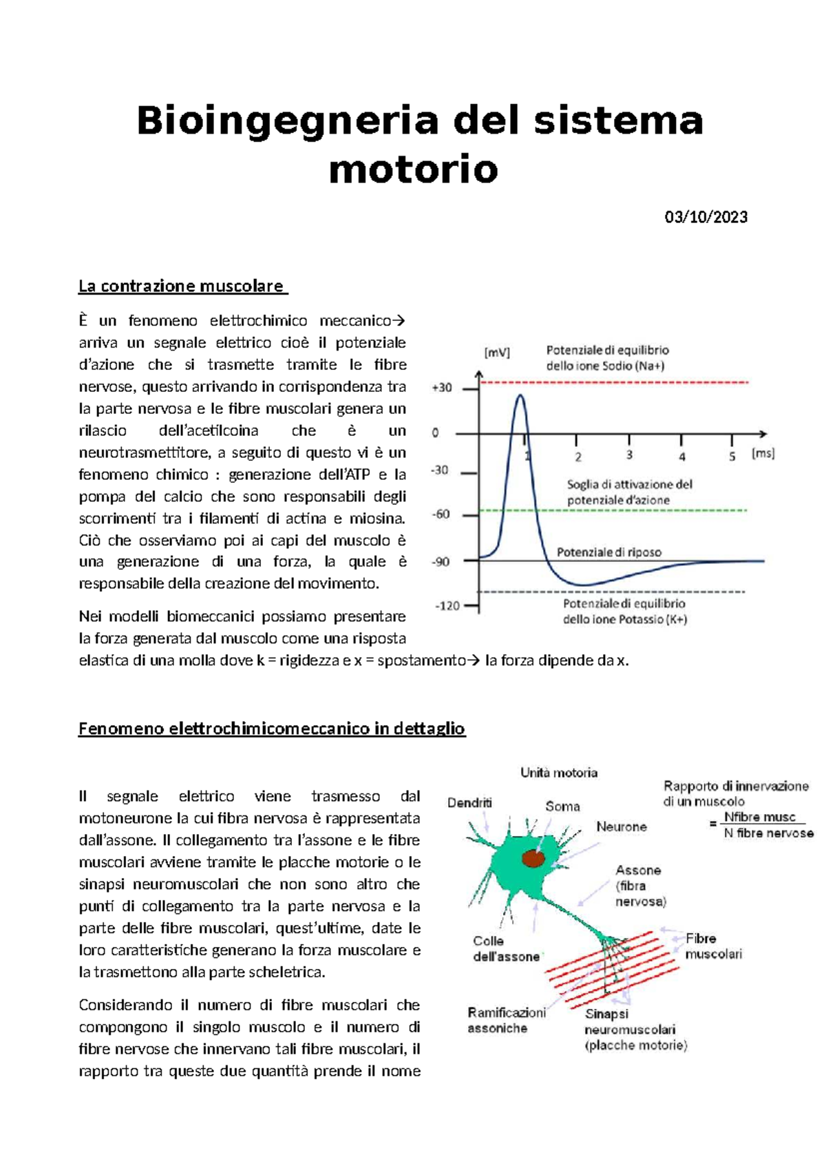 Appunti di Bioingegneria del Sistema Motorio: Contrazione Muscolare e ...