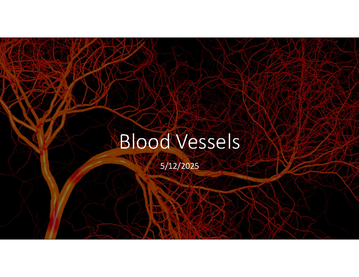 Blood Vessels Overview: Types, Structures, and Functions (BIO 101 ...