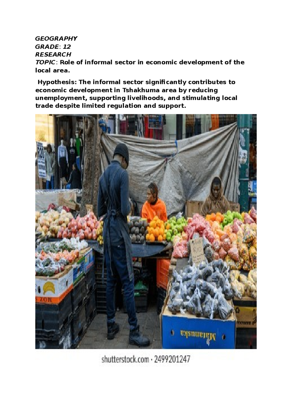 GEOGRAPHY GRADE 12 RESEARCH: Informal Sector's Role in Tshakhuma's ...