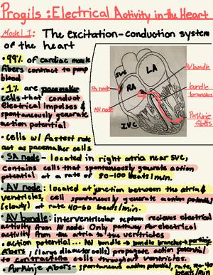 Exercise 1 - Human Anatomy & Physiology Lab Manual, 13e (Marieb et al ...