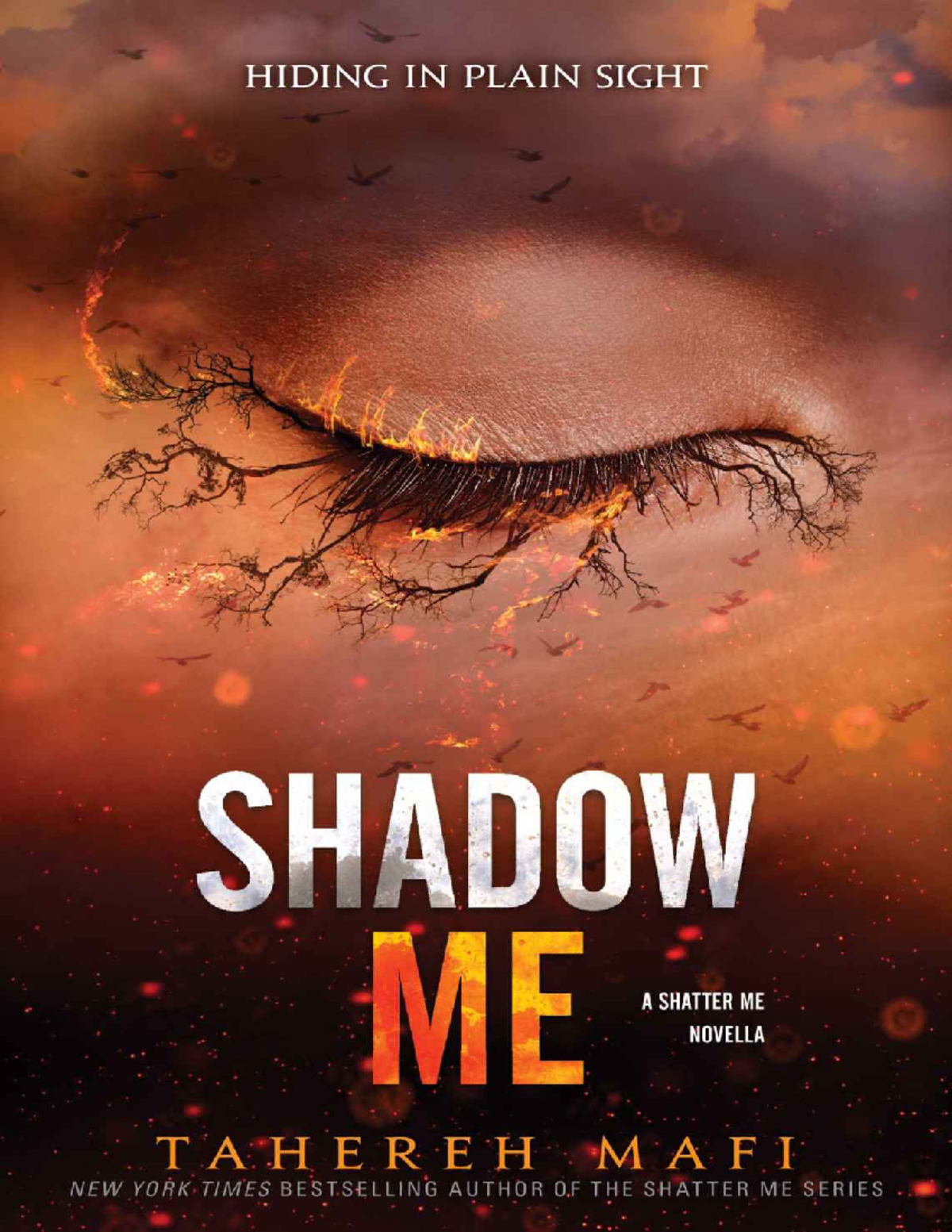 Shadow Me (Book 4) - Insights and Reflections on Characters - Studocu
