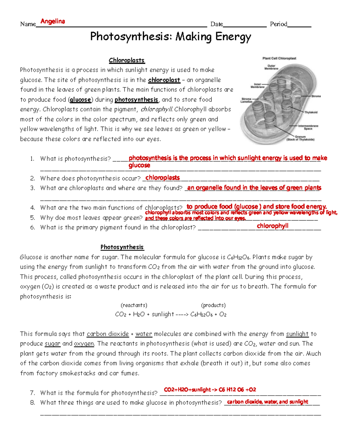 Photosynthesis Worksheet: 7th Grade Homework on Energy Production - Studocu