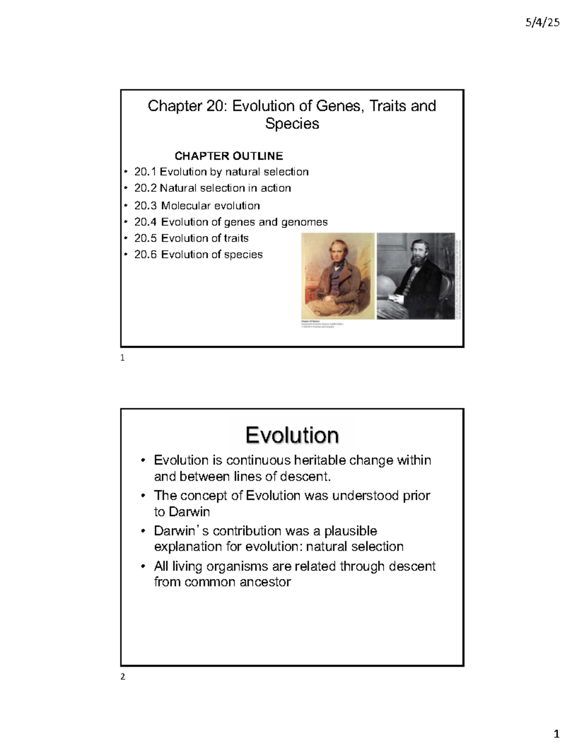 Chapter 20: Evolution of Genes, Traits, and Species (BIOL 101) - Studocu