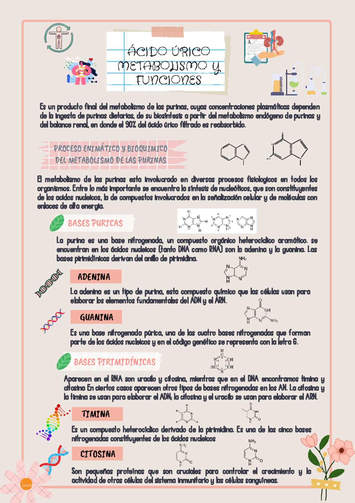 S14.s1.4 - Resumen material complementario Ácido Úrico Metabolismo y Funciones - BASES PURICAS ...
