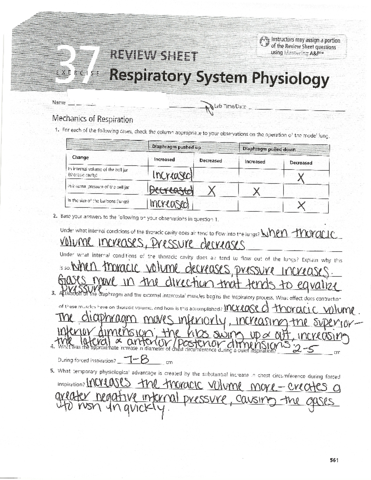 Review Sheet 37: Mechanics and Physiology of the Respiratory System ...