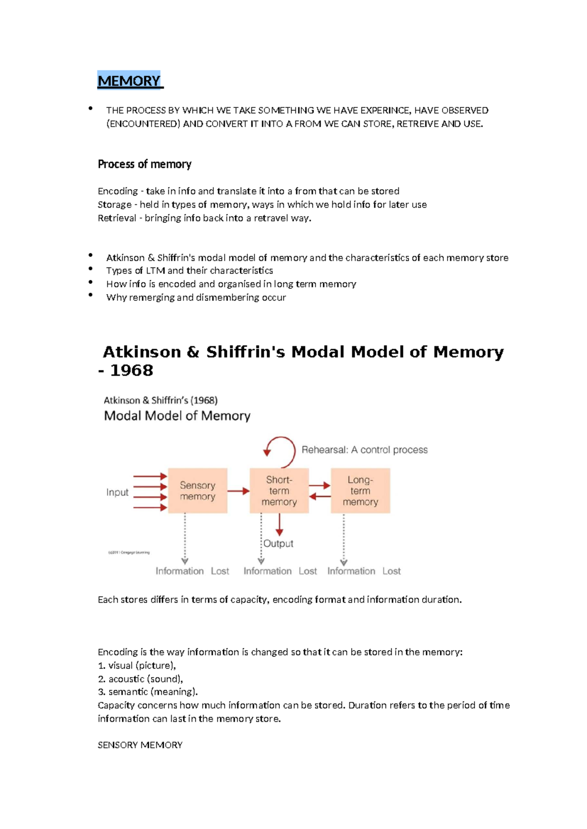 Memory Processes: Encoding, Storage, and Retrieval (PSY 101 - Week 6 ...