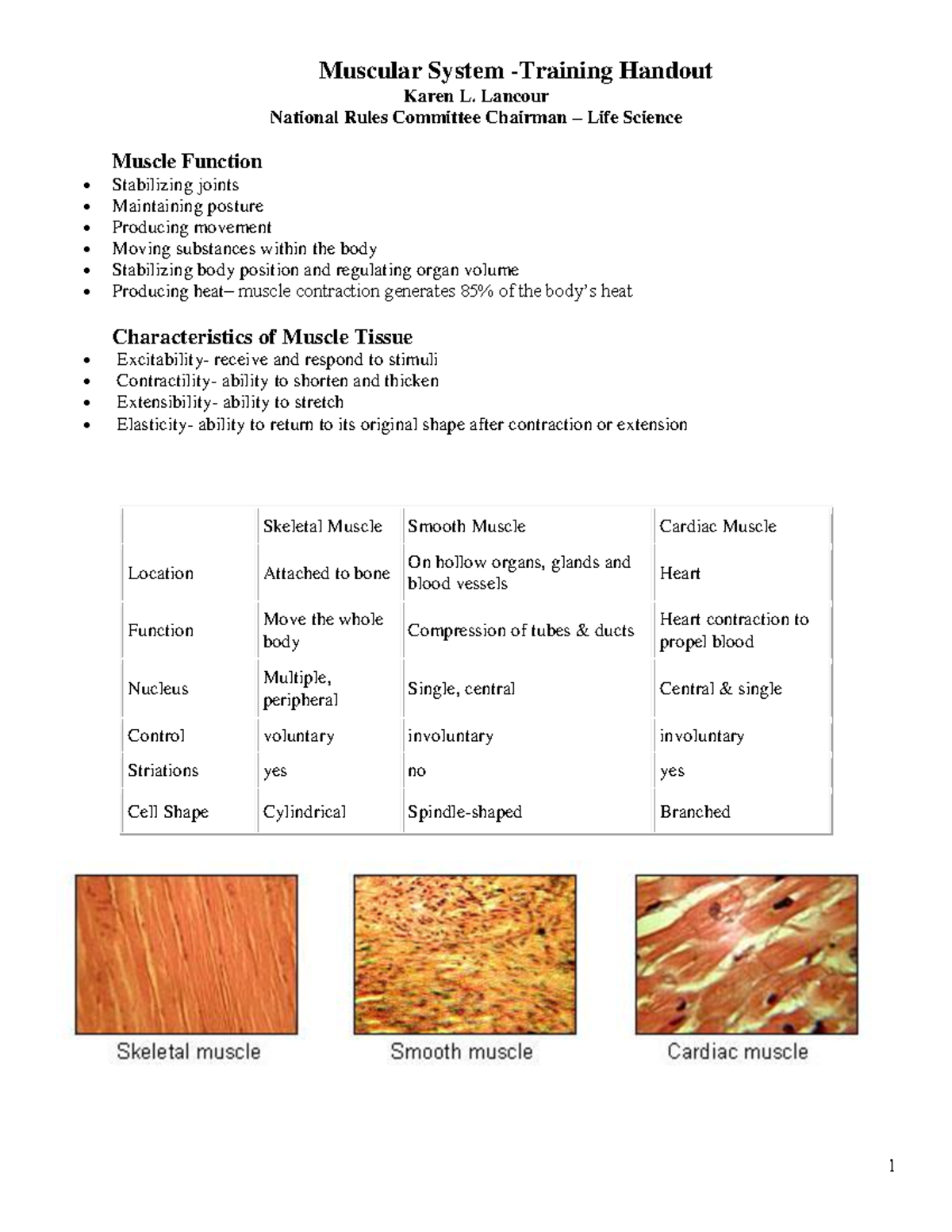 16 A&P Muscular Handout - Muscular System -Training Handout Karen L ...