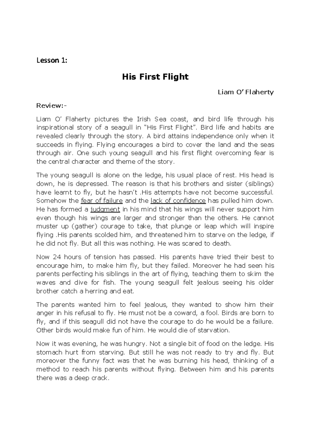 Lesson 1 His First Flight - Lesson 1: His First Flight Liam O9 Flaherty ...